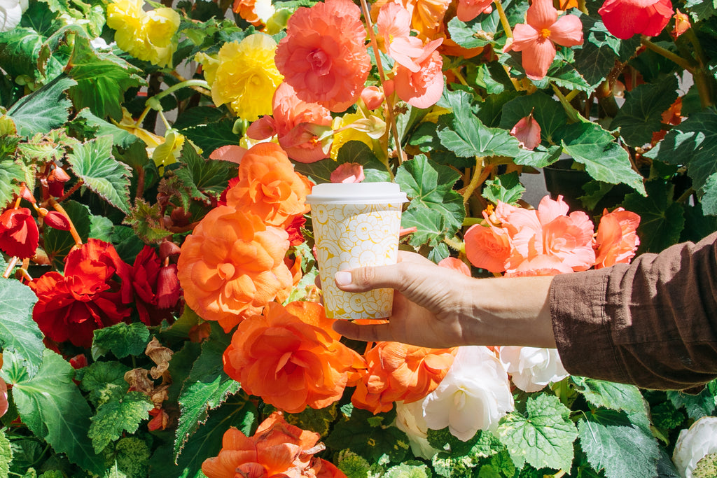 Introducing 'Flowers' Designer, Carl Santos – decent packaging UK